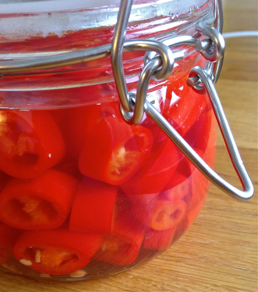 Inlagd chili – foodjunkies
